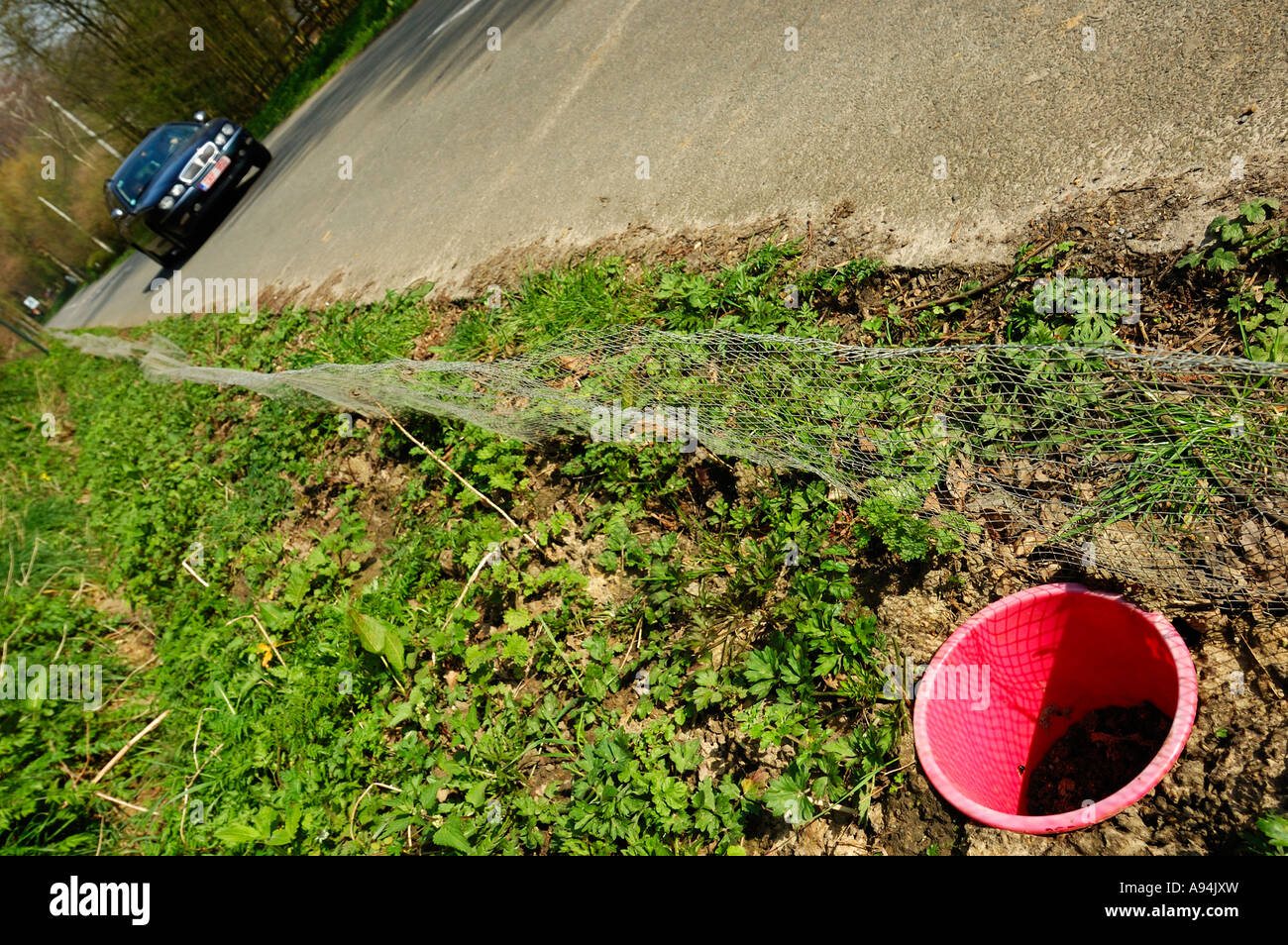 Toad fence hi-res stock photography and images - Alamy
