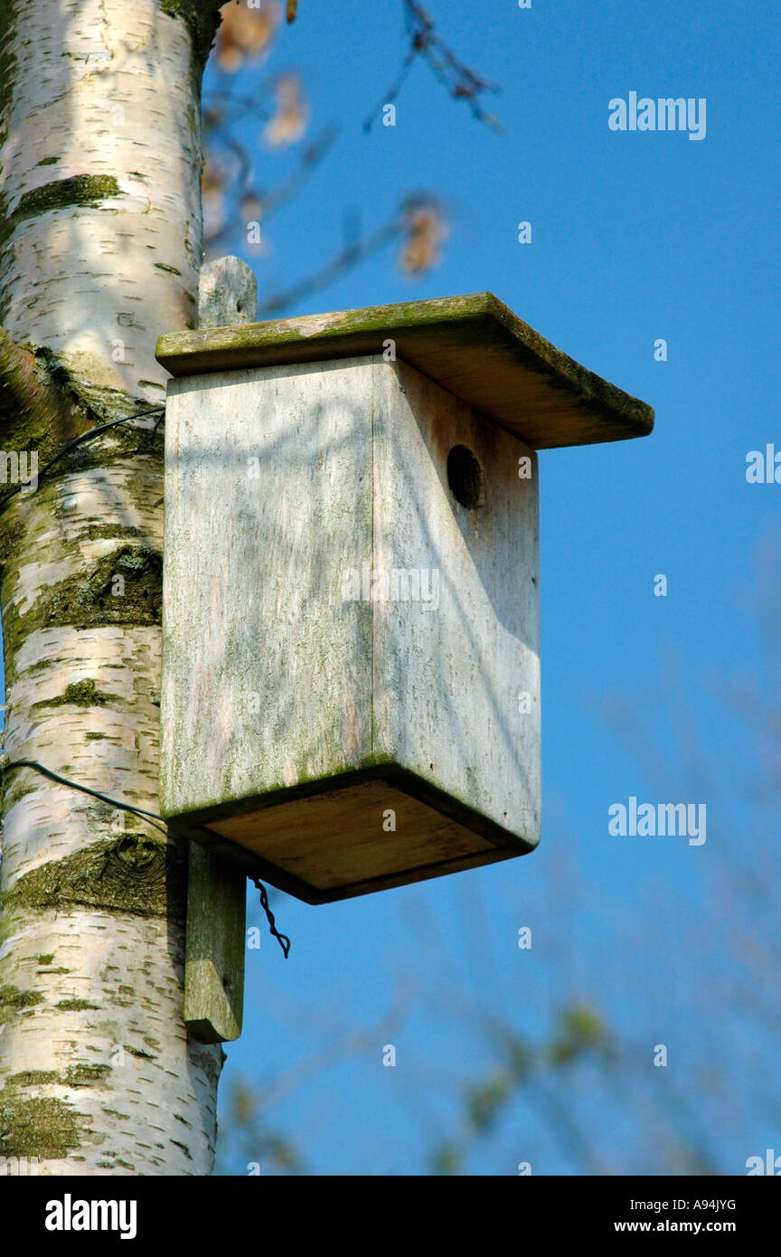 Home made nestbox hi-res stock photography and images - Alamy