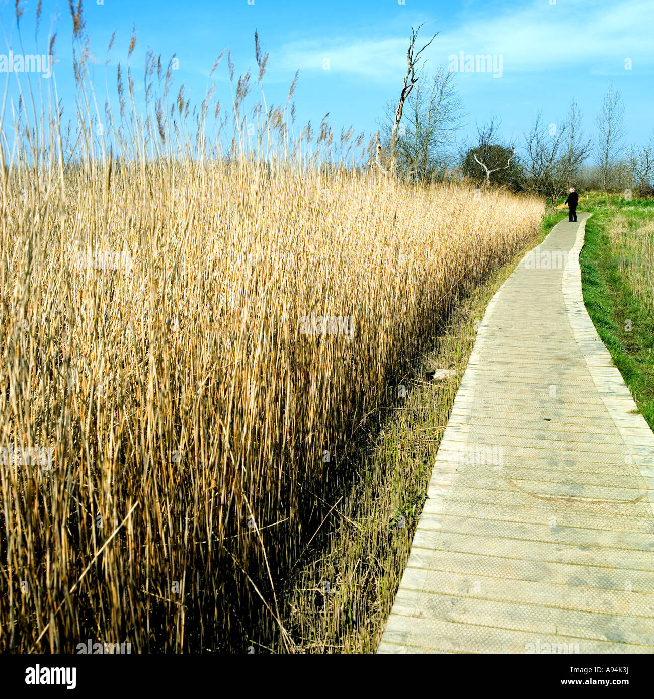 Meander hi res hi-res stock photography and images - Alamy