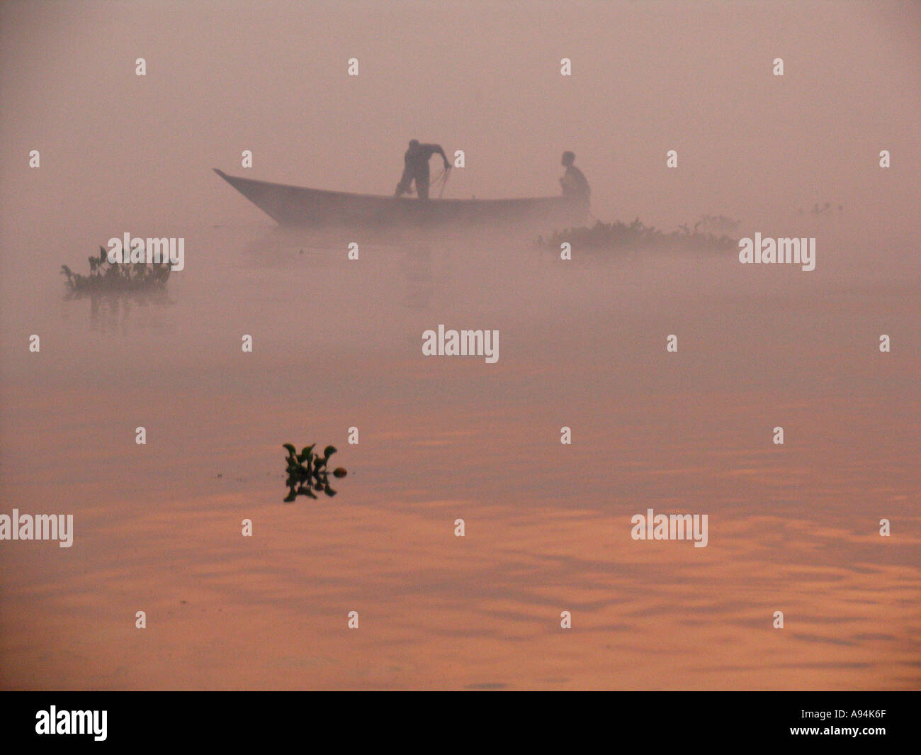 Through nets hi-res stock photography and images - Alamy