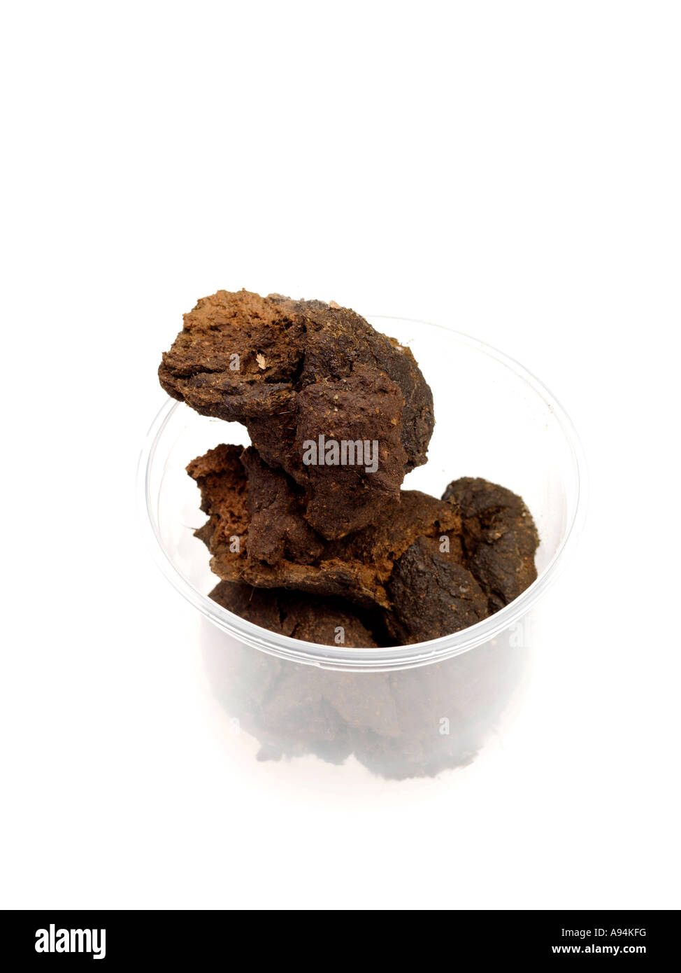 Faeces Stock Photo - Alamy