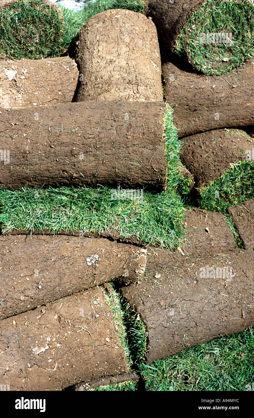 ROLLS OF LAWN GRASS TURF Stock Photo - Alamy