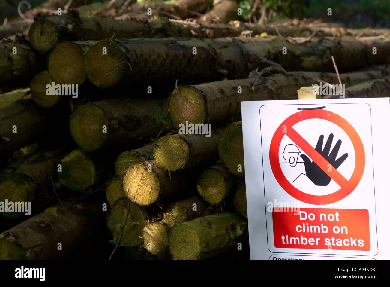 warning do not climb on timber stacks sign next to a pile of logs in ...