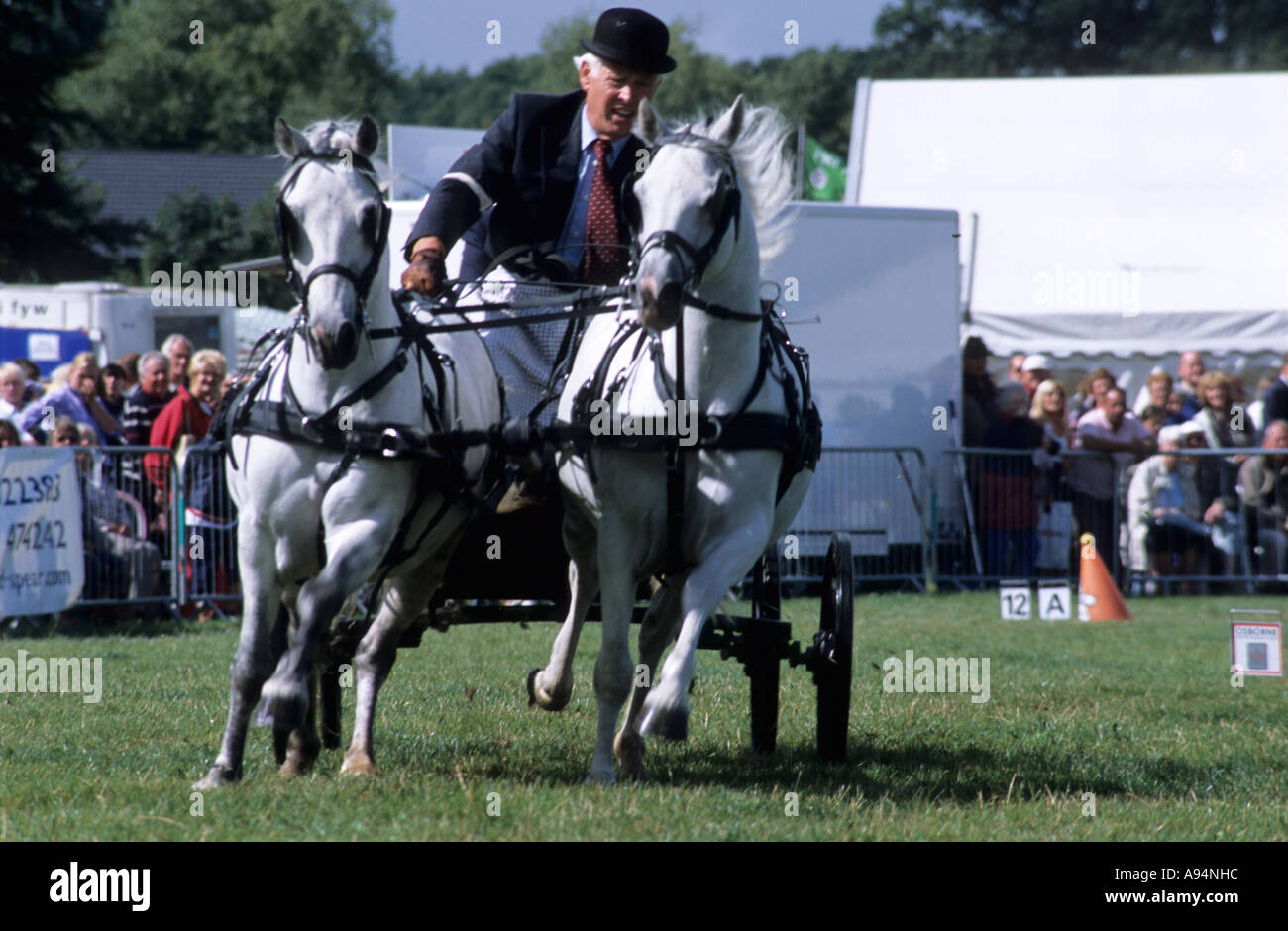 Horse and trap hi-res stock photography and images - Alamy