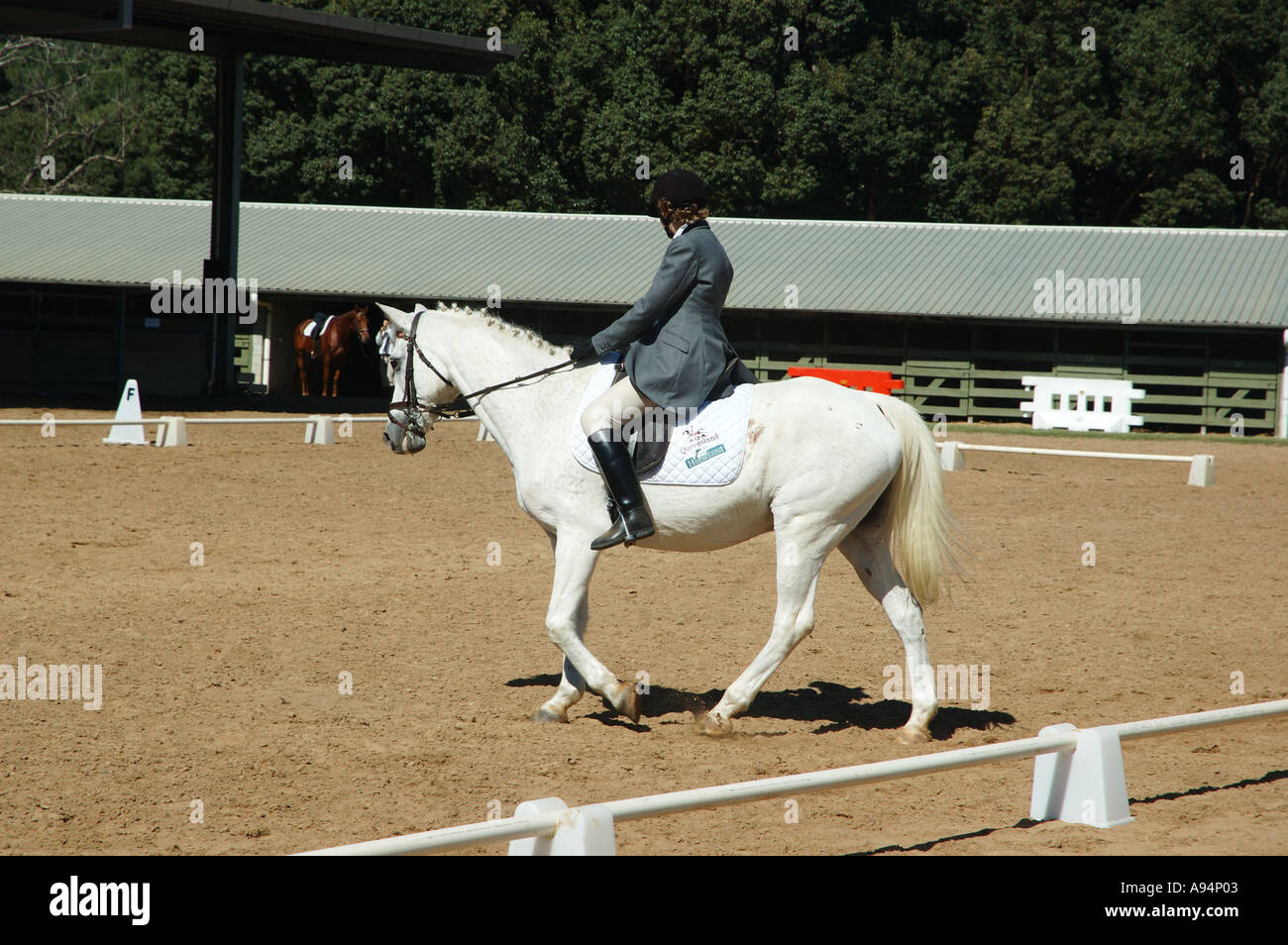 young cancer survivor with one leg missing amputee rides dressage dsca ...
