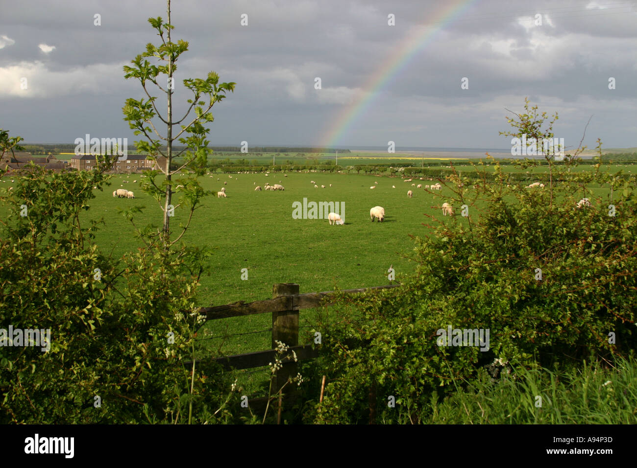 Rainbow In Spring England Stock Photos & Rainbow In Spring England ...