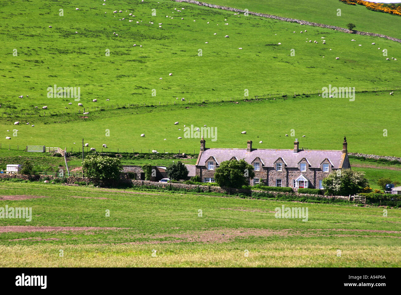 Cottages and landscape in the Cheviot Hills Stock Photo - Alamy