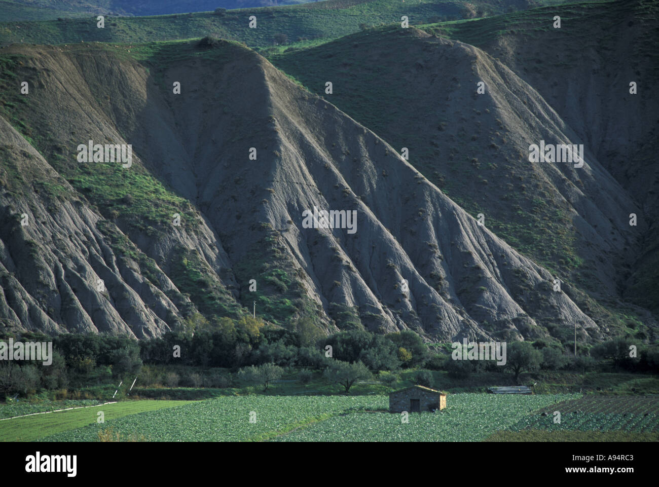 Cerda sicily hi-res stock photography and images - Alamy