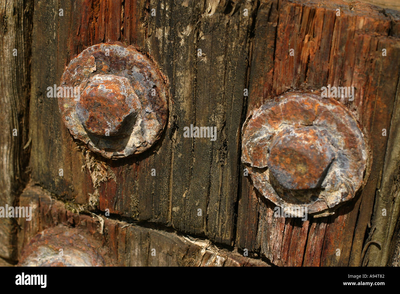 Two very rusty bolt heads with washers used in a salt water environment ...