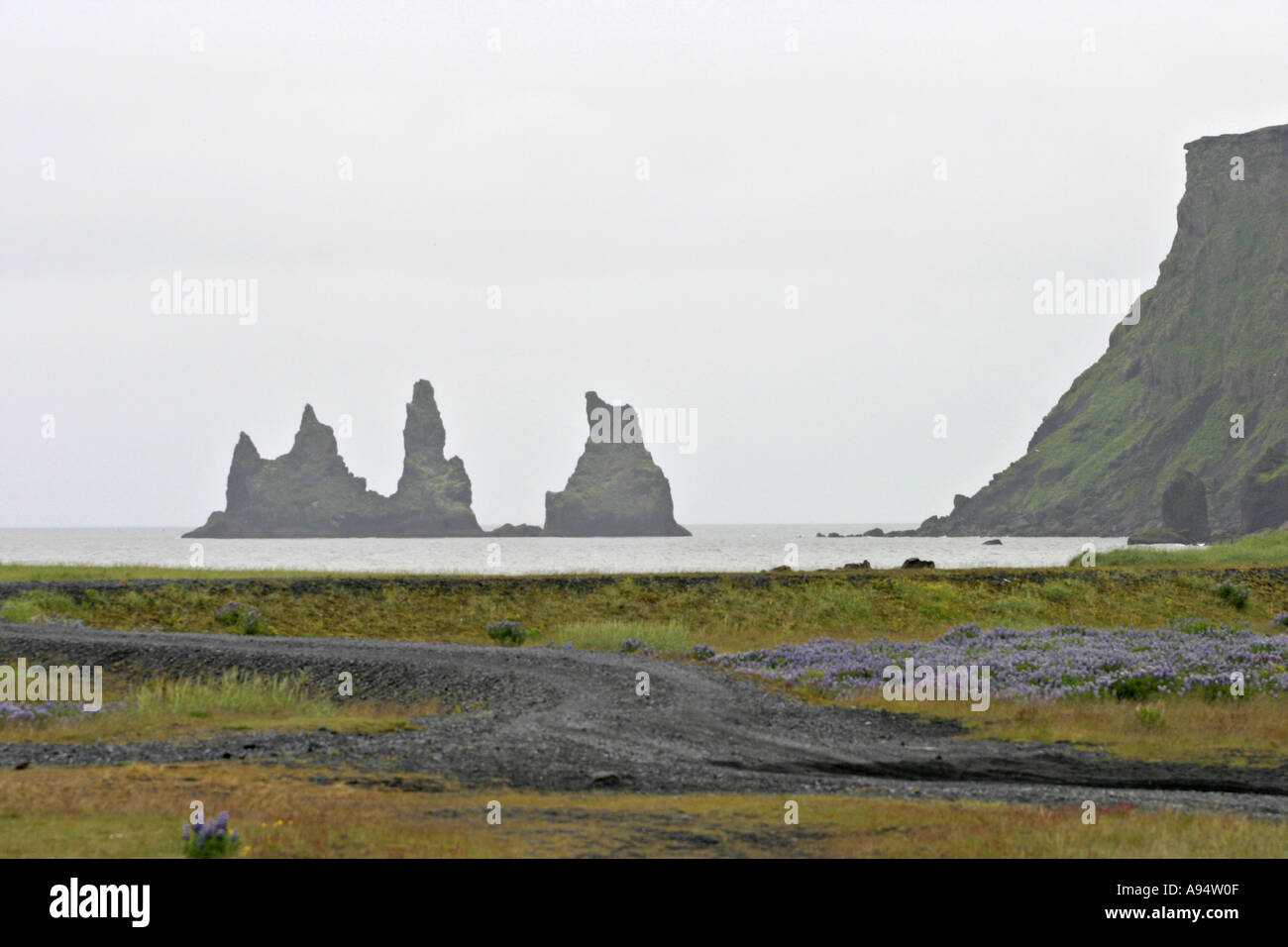Sea Stacks at Reynisdrangur SW Iceland Stock Photo - Alamy