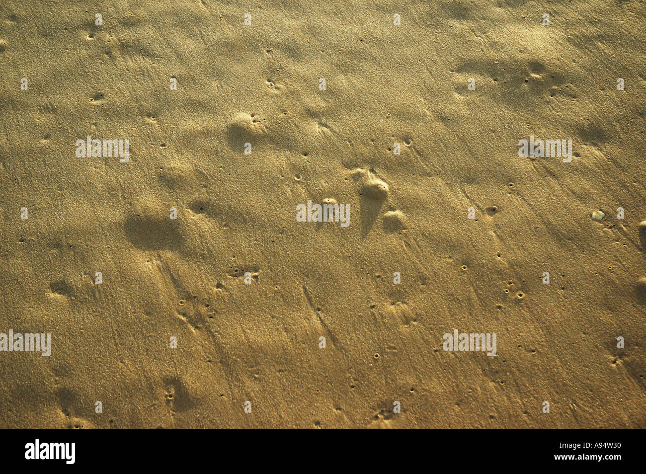 wave marks on beach sand Noosa Queensland Australia dsca 2293 Stock ...