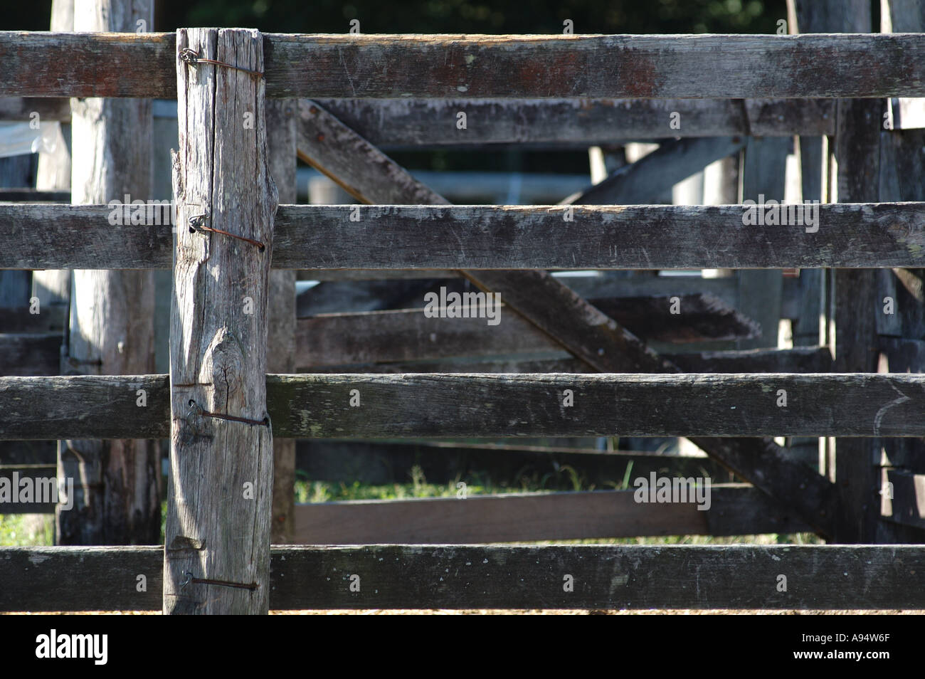 old timber cattle yard Stock Photo - Alamy