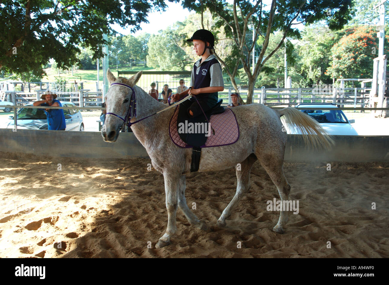 Riding disabled queensland competition hi-res stock photography and ...