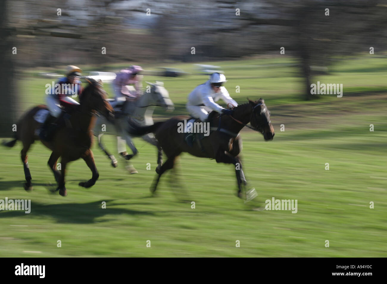 Three race horses hi-res stock photography and images - Alamy