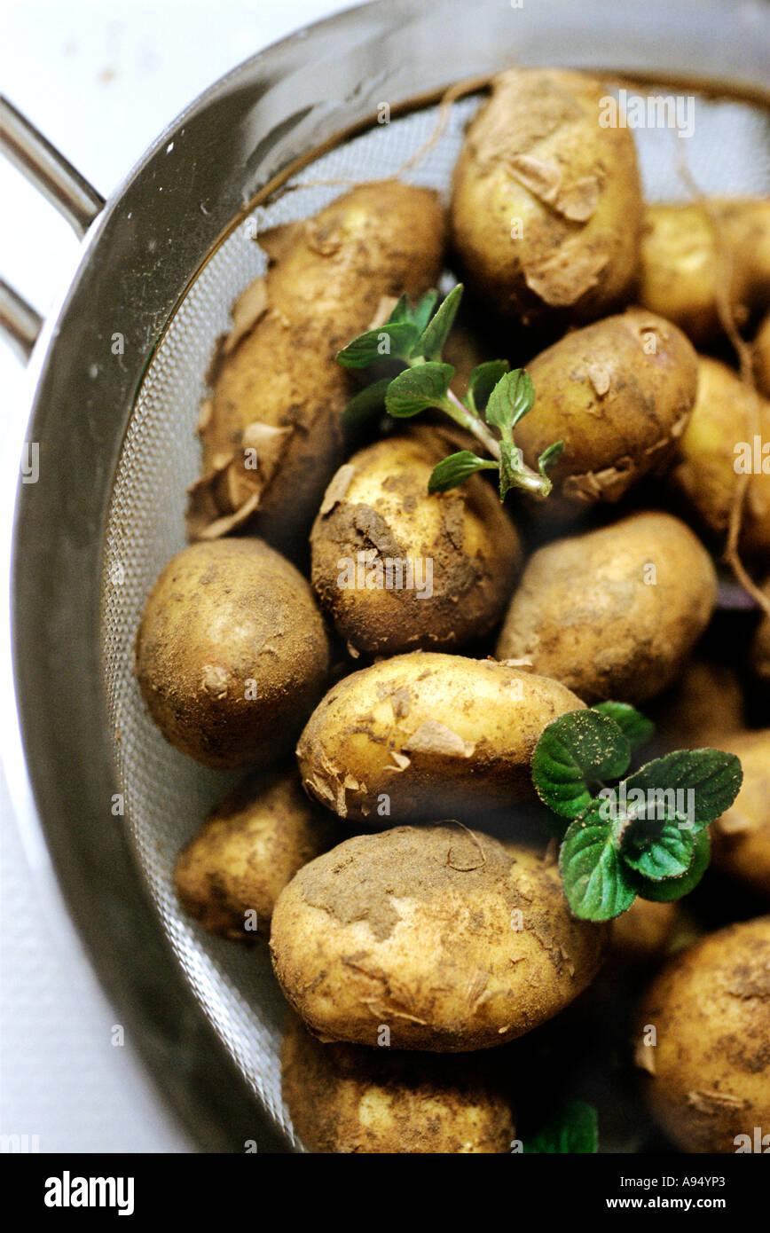 Jersey royal potato hi-res stock photography and images - Alamy