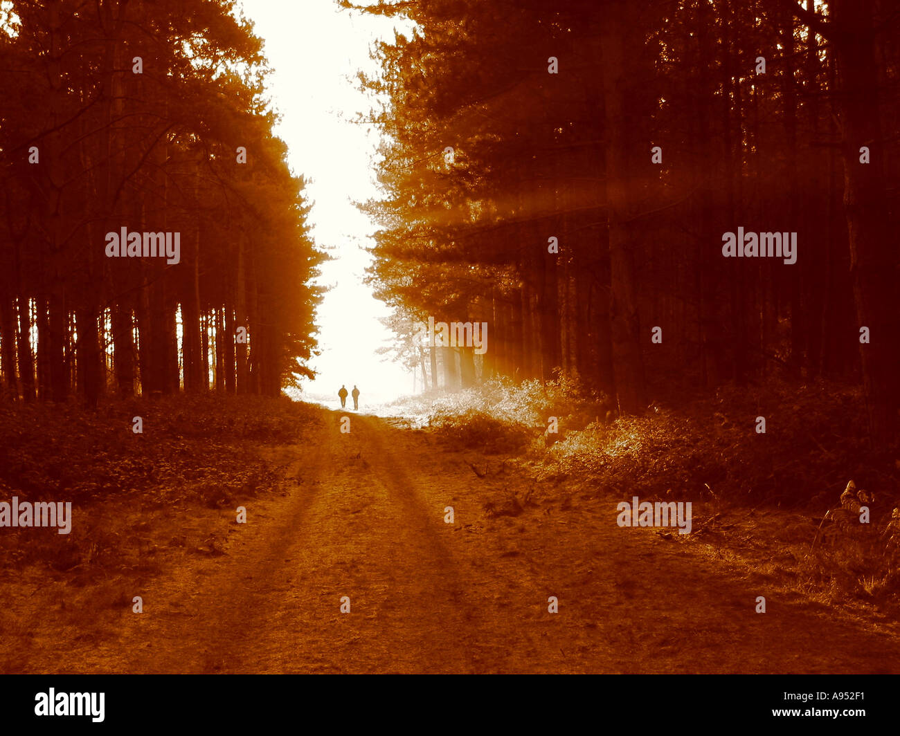 Rural suffolk east anglia hi-res stock photography and images - Alamy