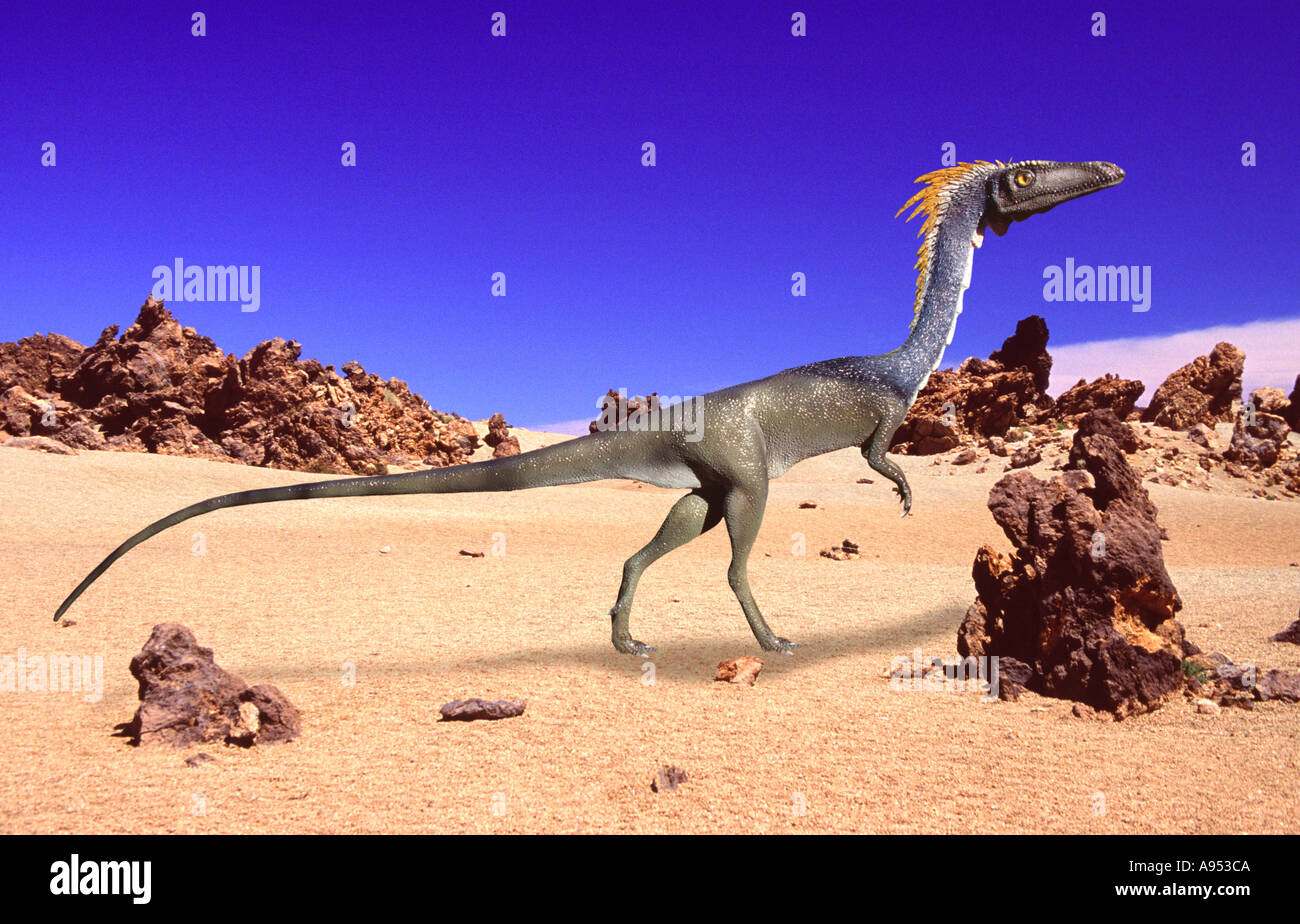 Coelophysis hi-res stock photography and images - Alamy
