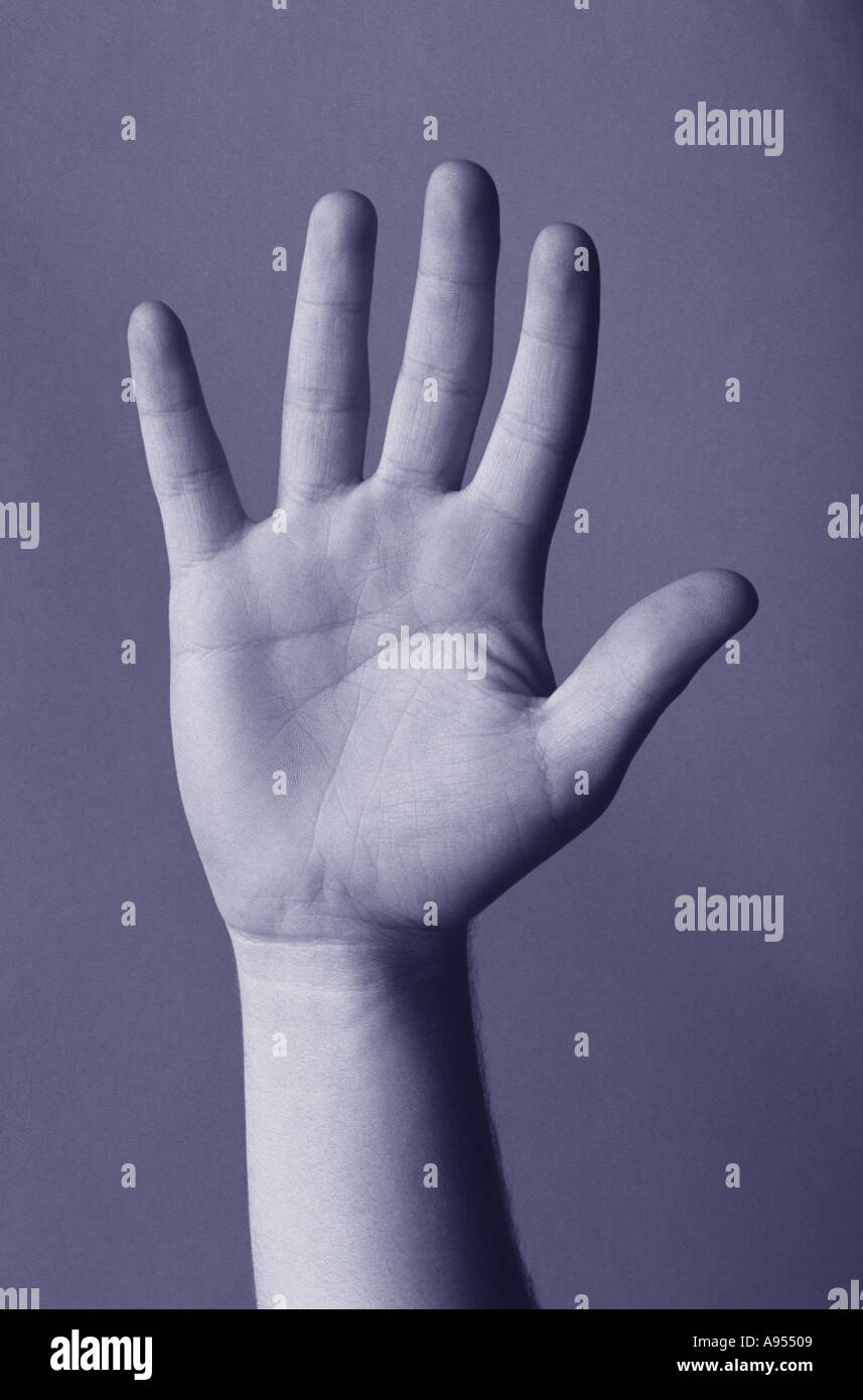 Open hand showing five fingers Stock Photo - Alamy
