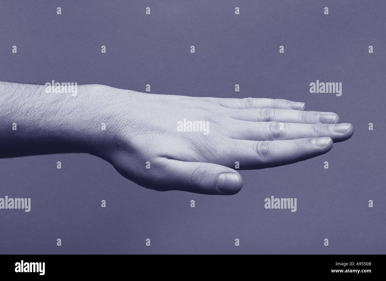 Plam of hand hi-res stock photography and images - Alamy