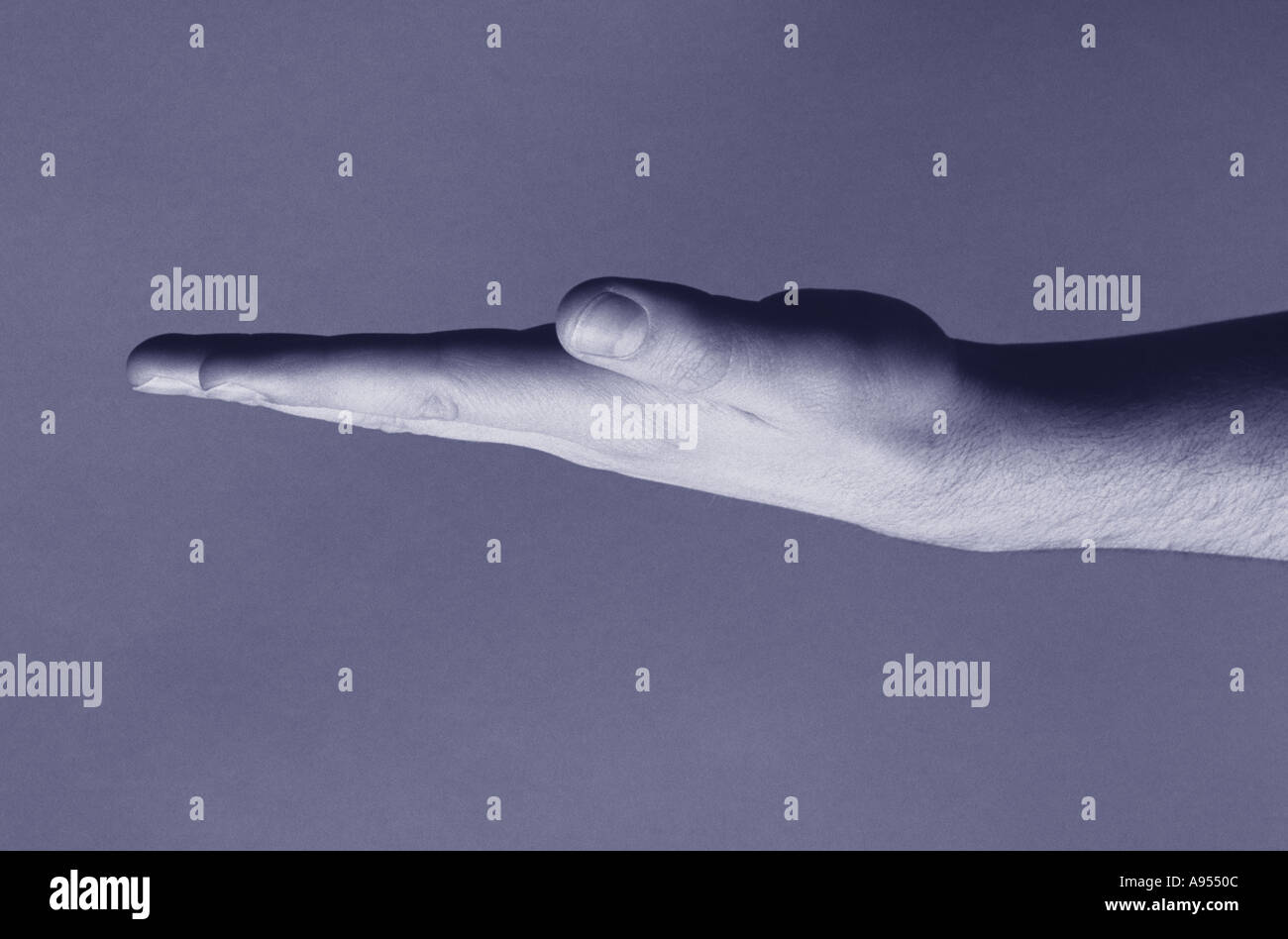 Flat hand palm up Stock Photo - Alamy