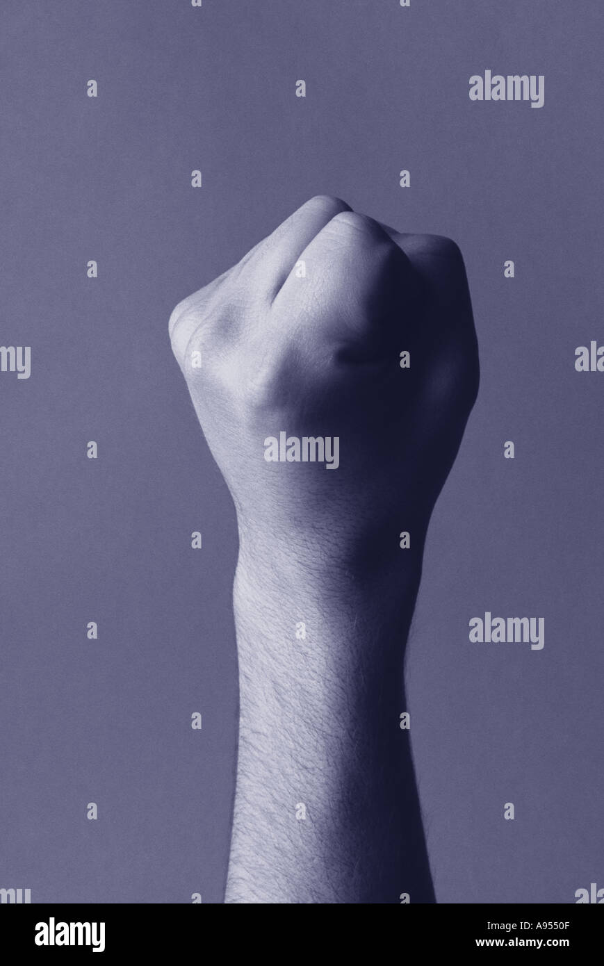 Hand in a fist shape Stock Photo - Alamy