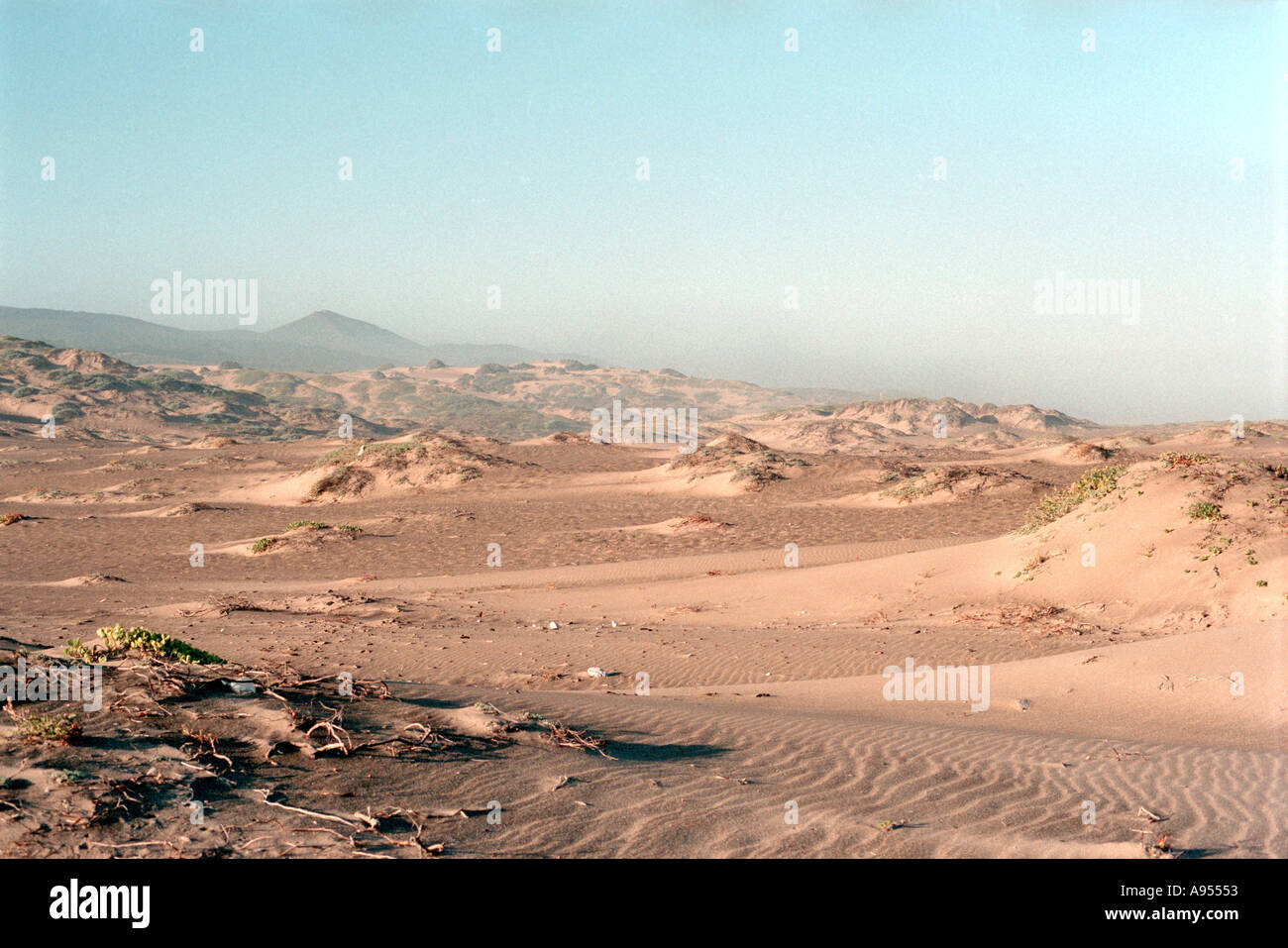 Sand dunes in california coastal hi-res stock photography and images ...