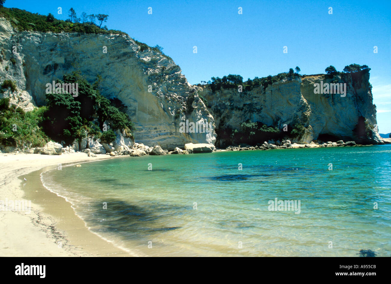 View across Stingray Bay Corromandel Peninsula New Zealand Stock Photo ...