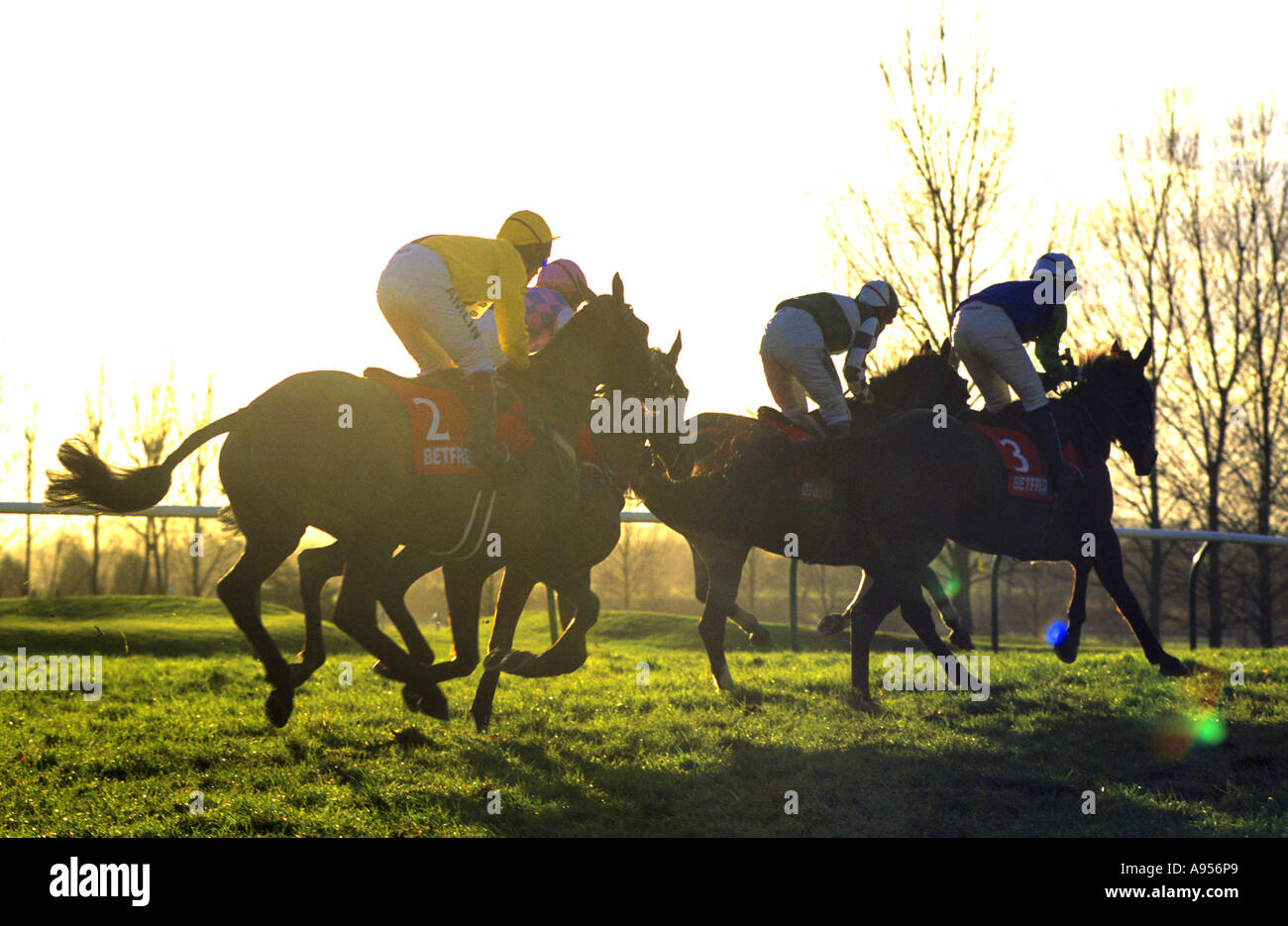 The Racehorse Warwick High Resolution Stock Photography and Images - Alamy
