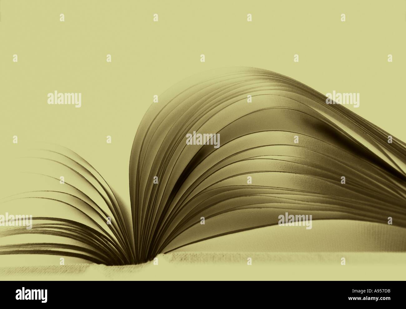 Photograph of book or file with pages loosely open Stock Photo - Alamy