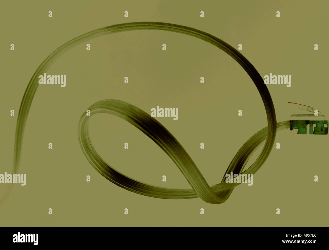 Photograph of coiled network communications cable Stock Photo - Alamy