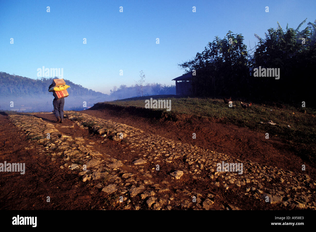 guatemalan mayan refugee bringing supplies to a refugee camp in Chiapas ...