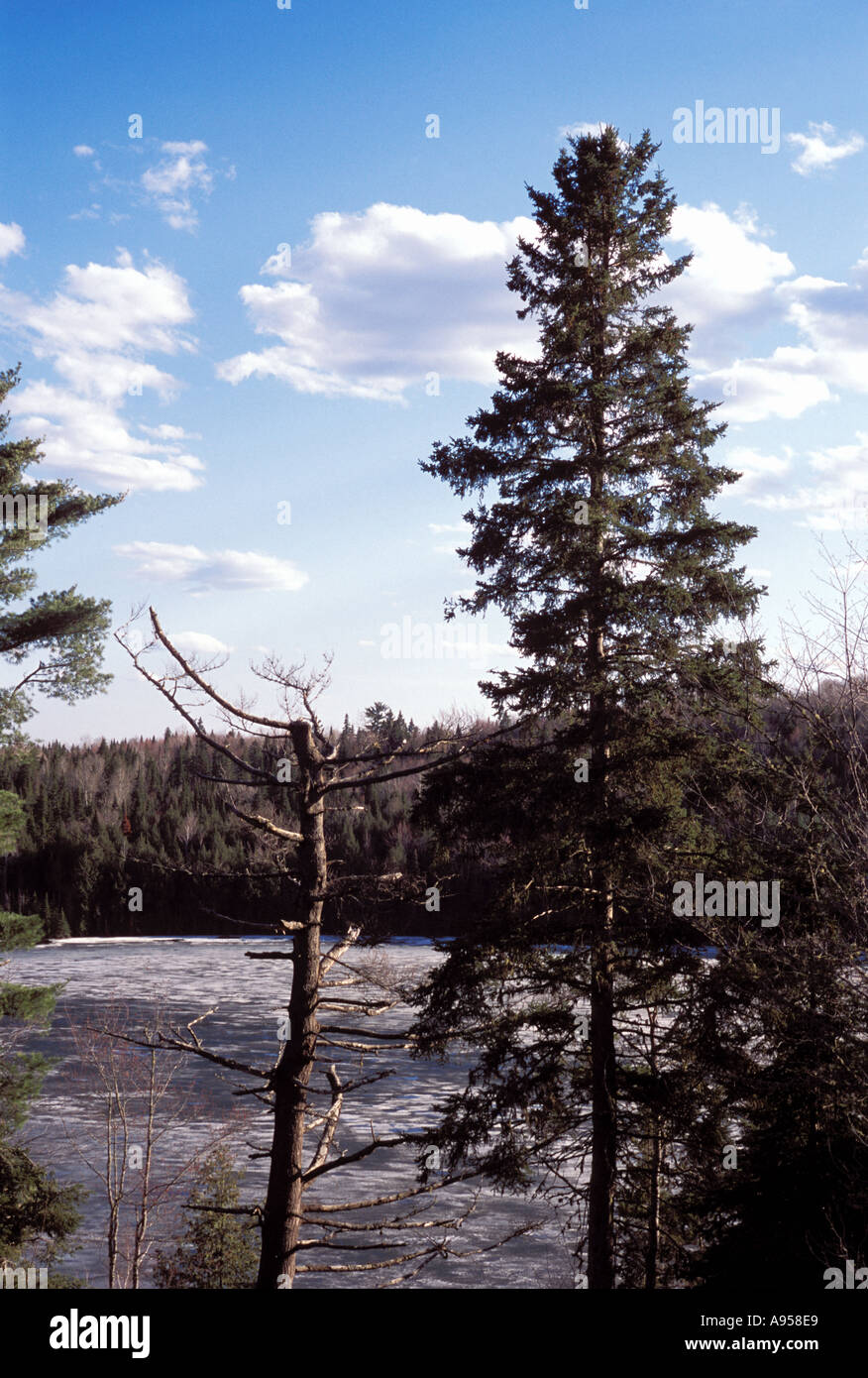 Frozen lake environment hi-res stock photography and images - Alamy