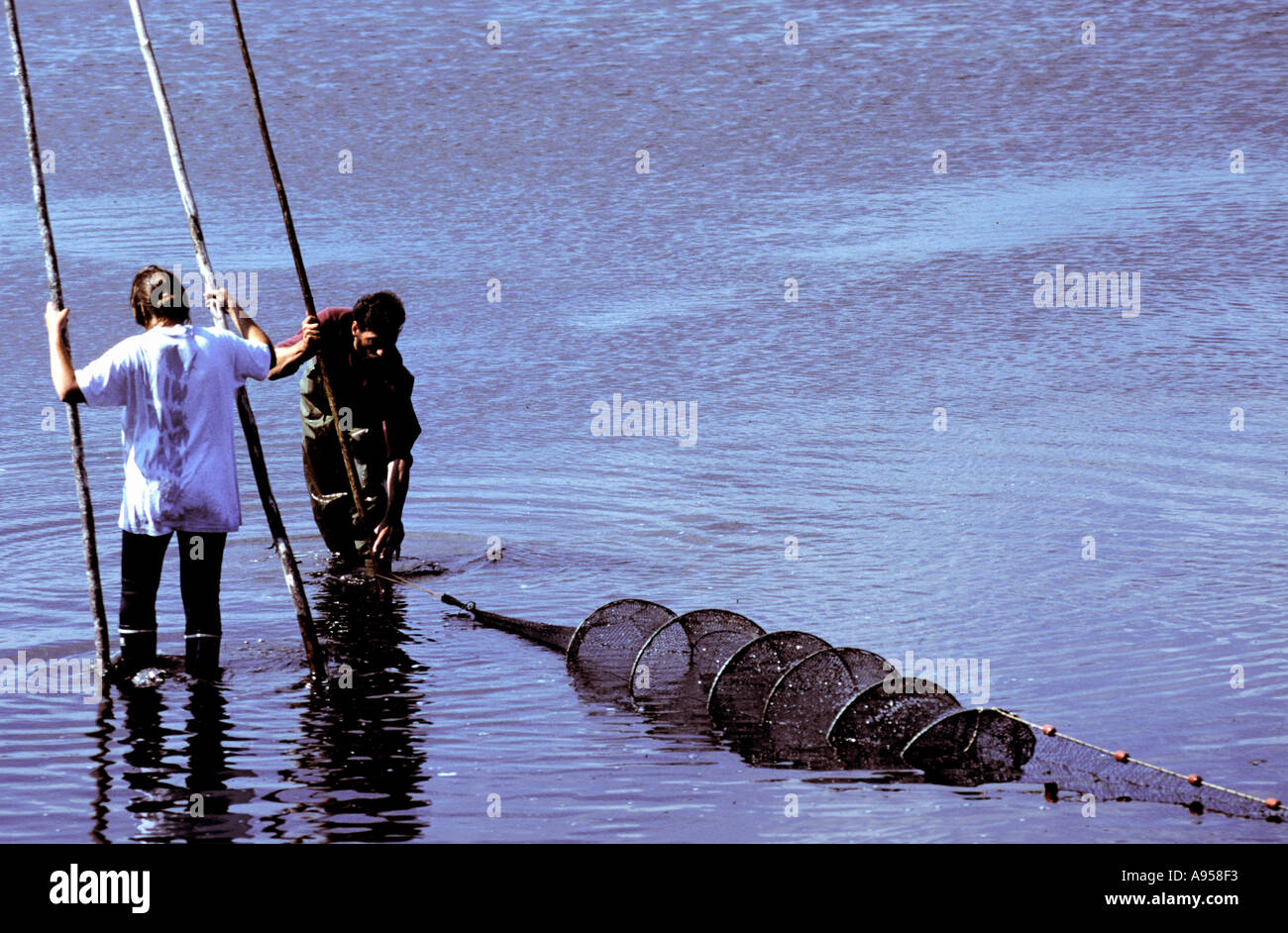 American eel fishing hi-res stock photography and images - Alamy