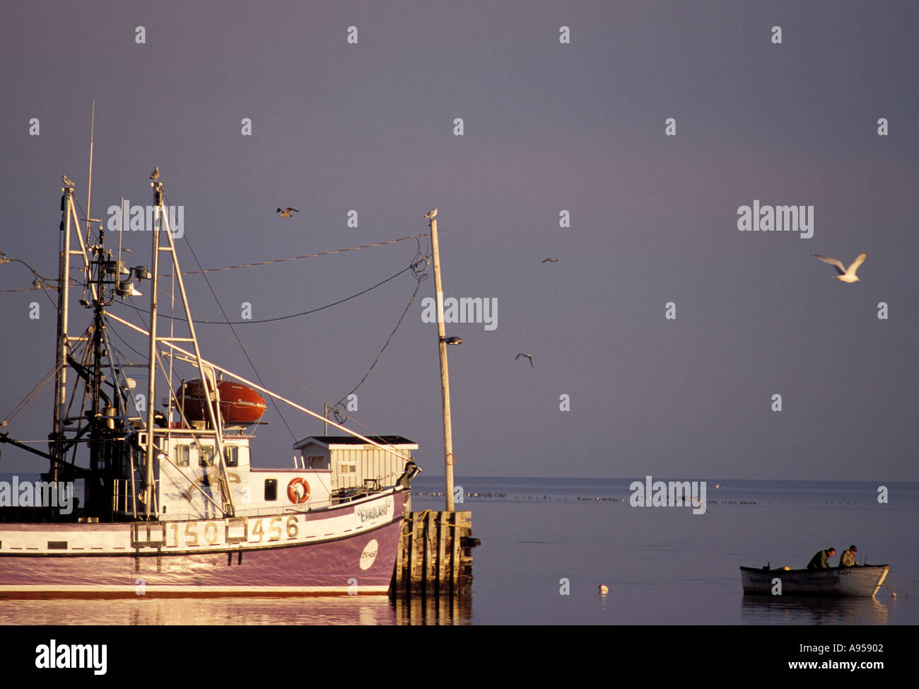 Bay Of Chaleur Fishing High Resolution Stock Photography and Images - Alamy