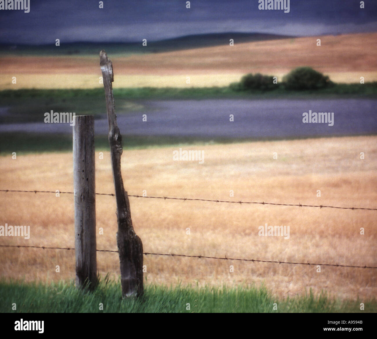 Prairie scene in Saskatchewan Canada Stock Photo - Alamy
