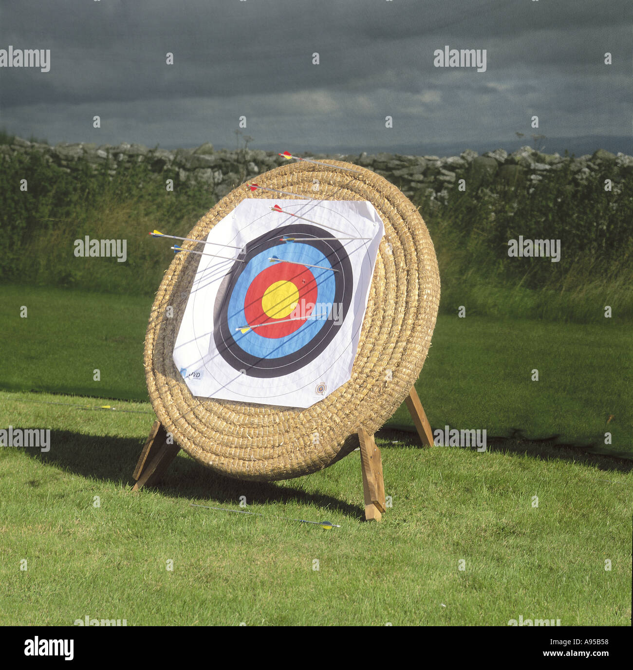 Target board on grass field Stock Photo - Alamy