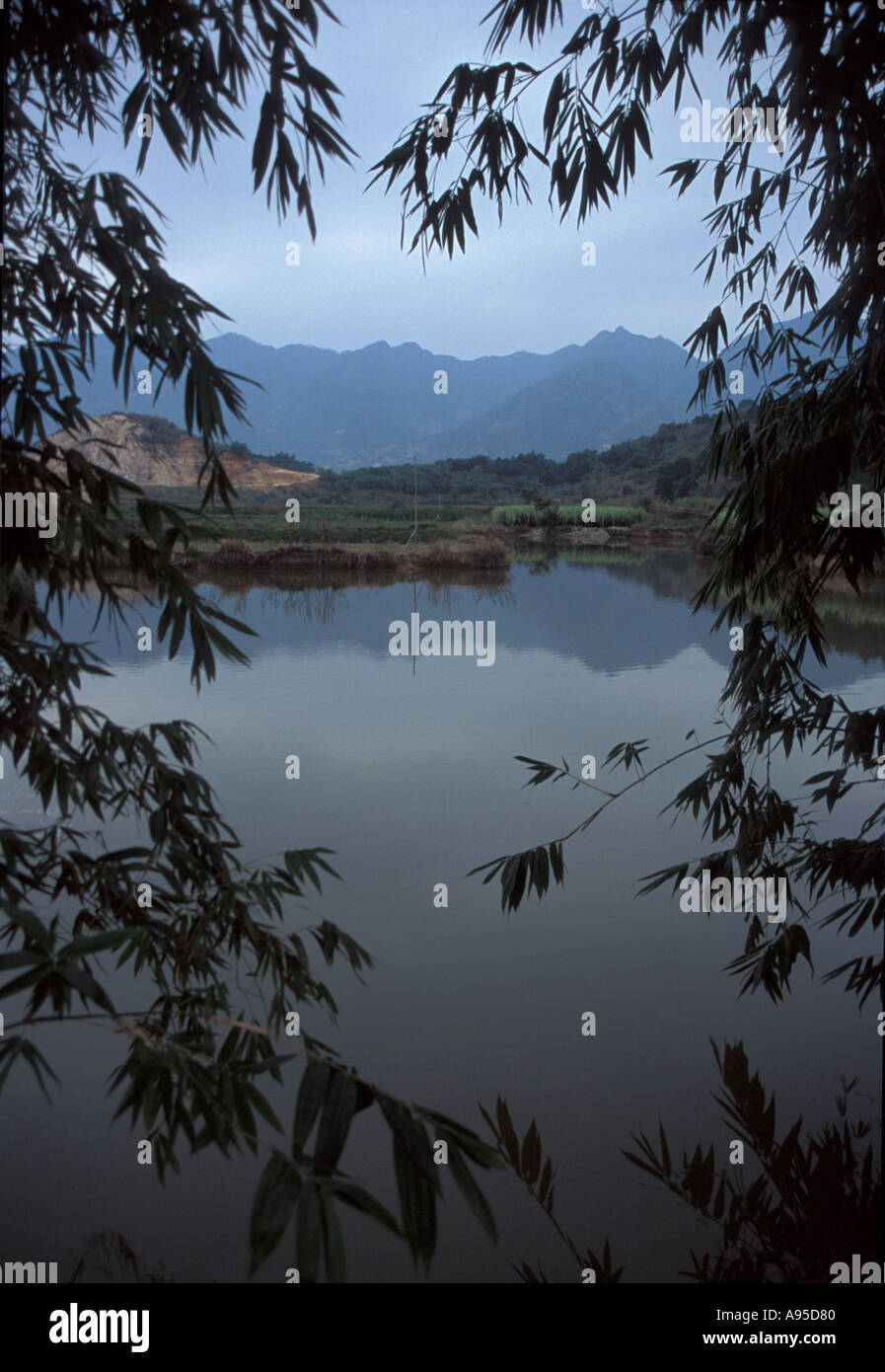Chinese rice field Stock Photo - Alamy