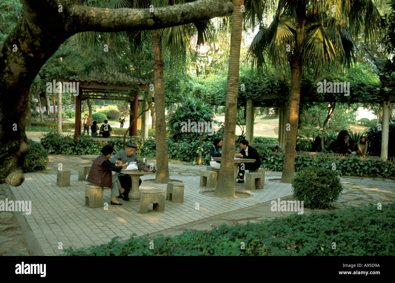 Playing table games in Chinese park Stock Photo - Alamy