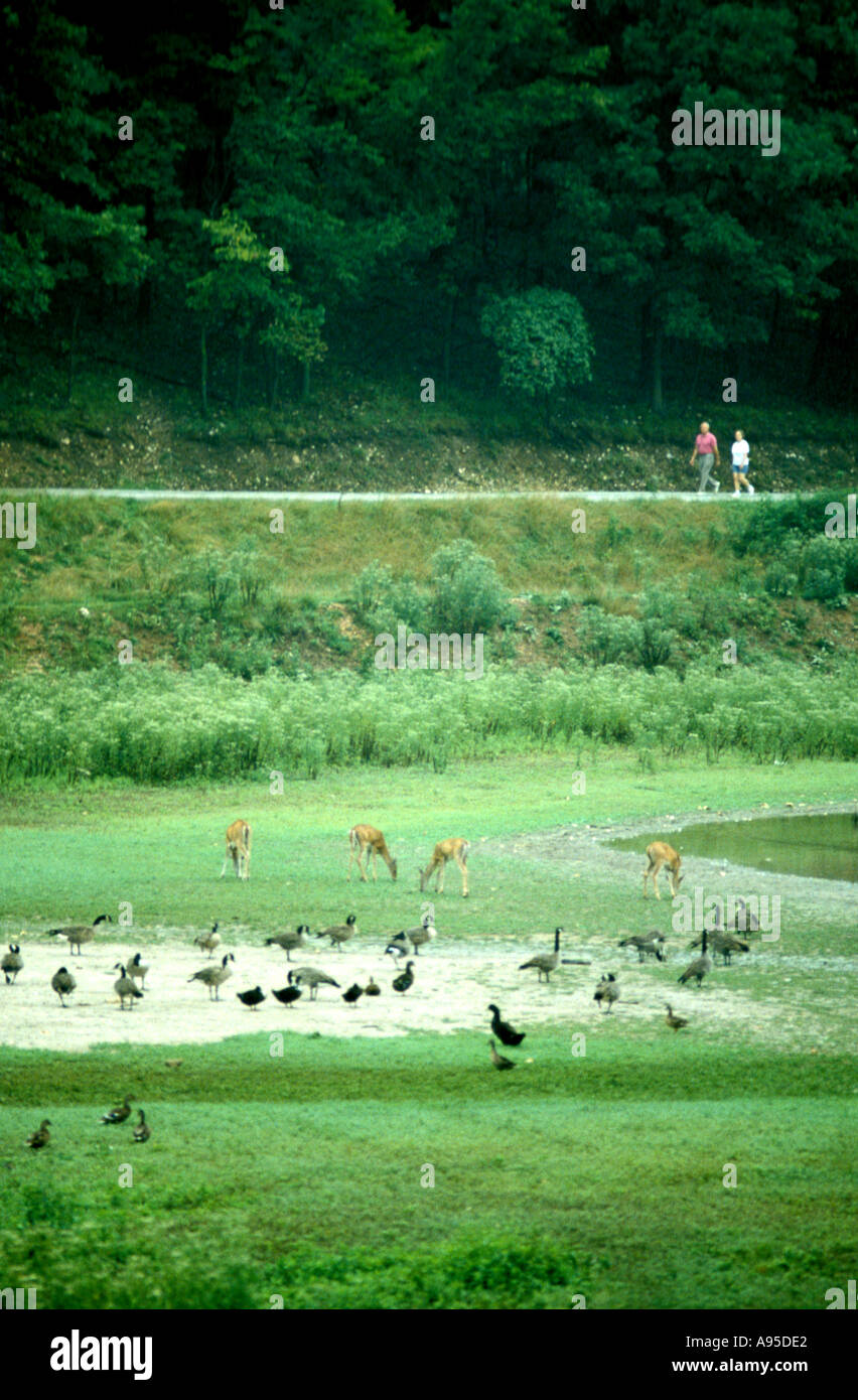Couple walking on nature hi-res stock photography and images - Alamy