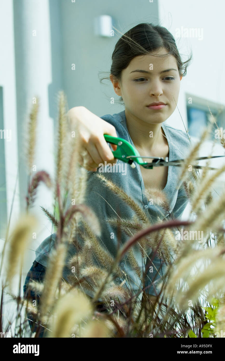 Beautiful young woman cutting grass hi-res stock photography and images ...