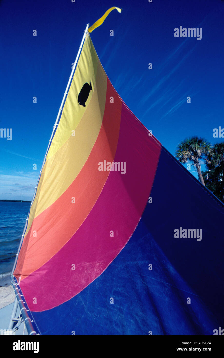 Sunfish sailboat hi-res stock photography and images - Alamy