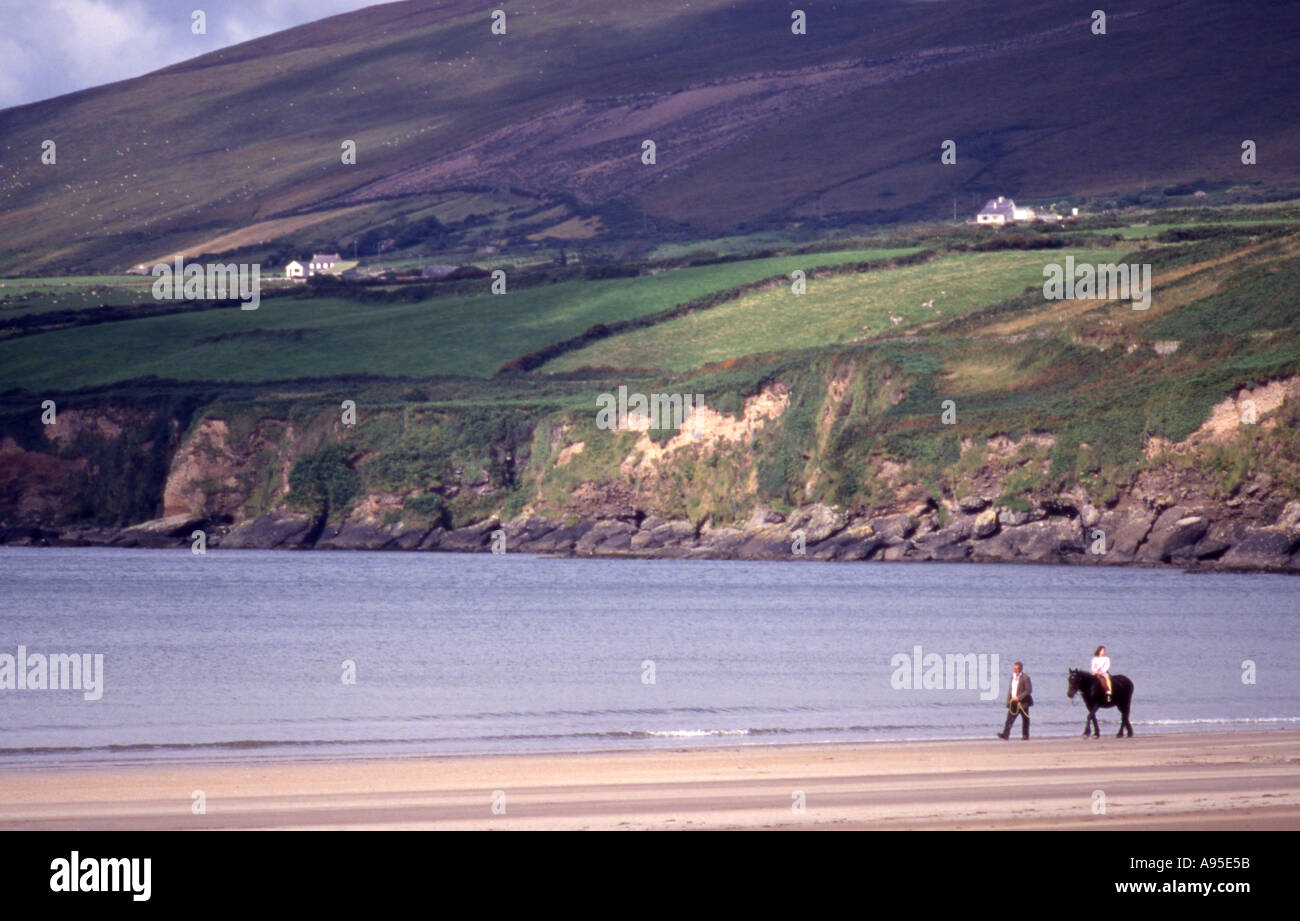 Man leading rider on Horse Inch Strand Kerry Ireland Stock Photo - Alamy