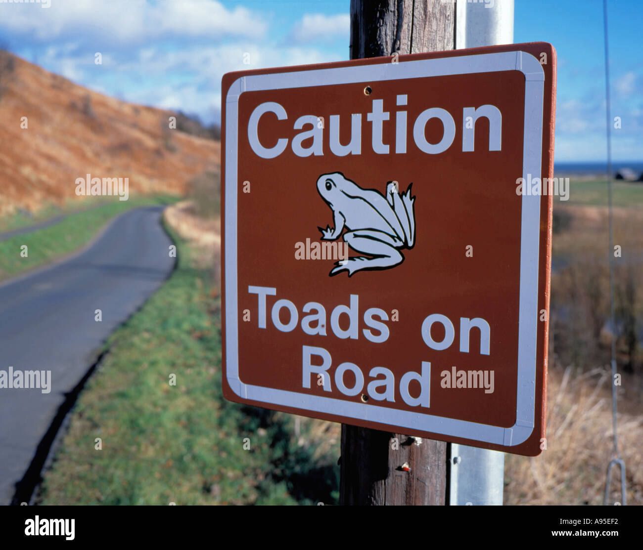 Caution "Toads on Road" sign, Northumberland, England, UK Stock Photo ...