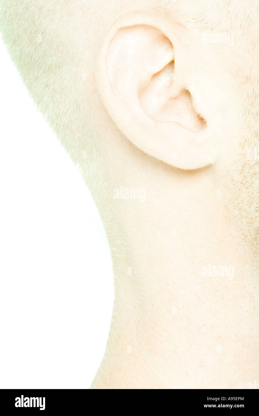 Young man's ear and neck, side view Stock Photo - Alamy