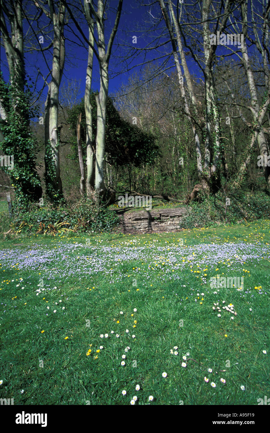 Porthkerry Country Park Barry Wales UK Stock Photo - Alamy