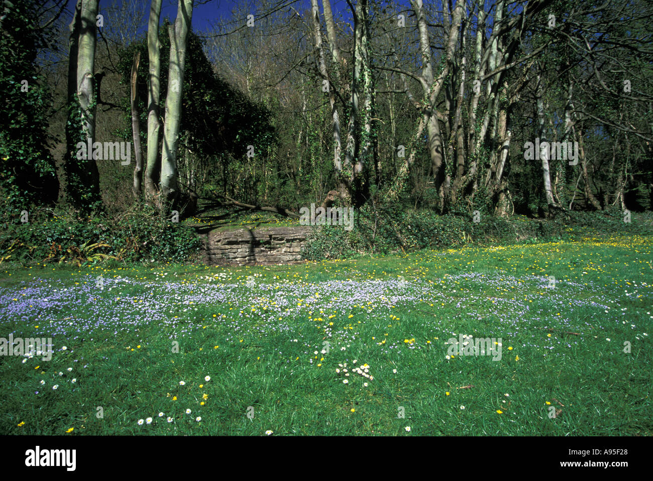 Porthkerry Country Park Barry Wales UK Stock Photo - Alamy