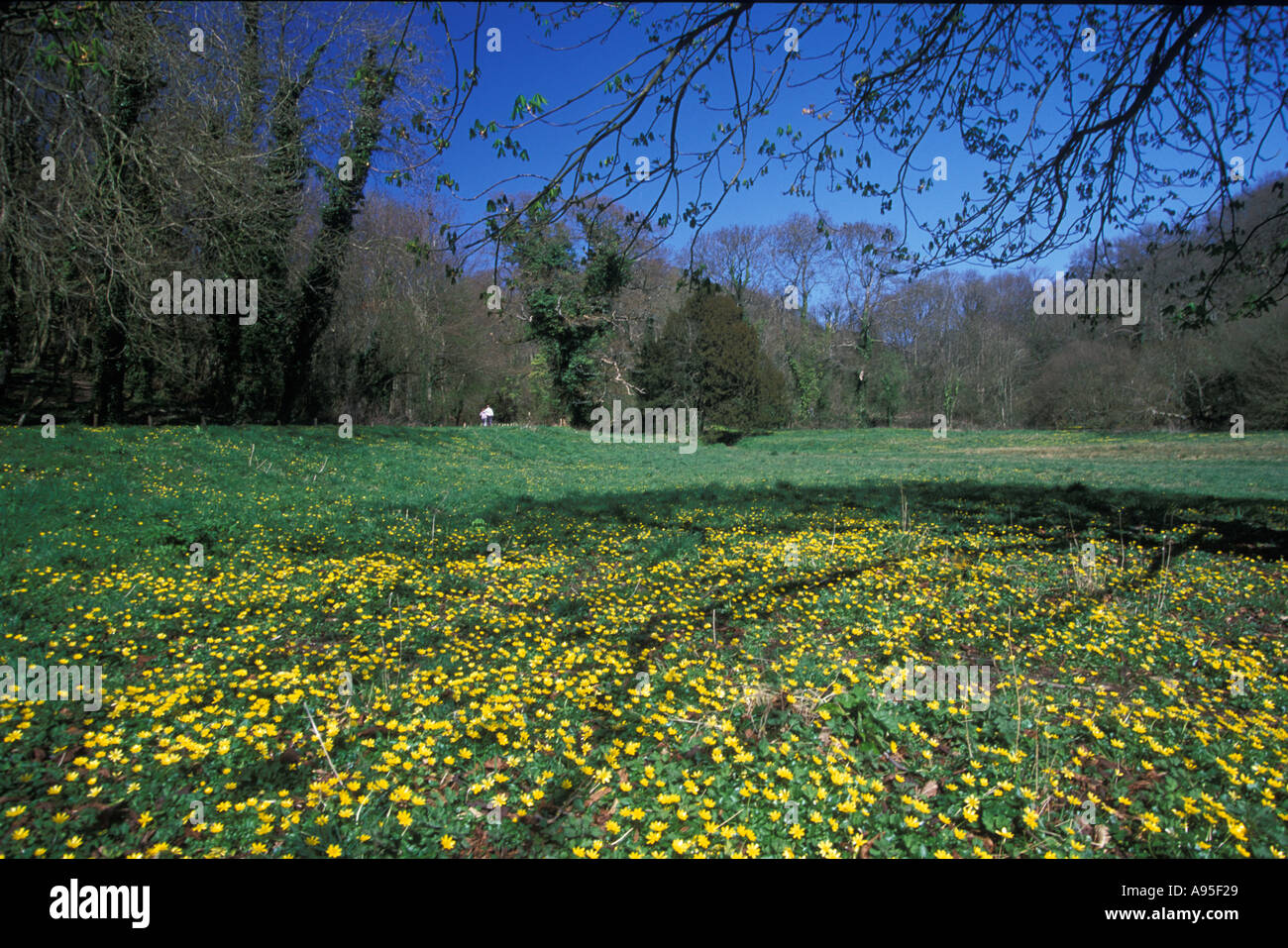 Porthkerry Country Park Barry Wales UK Stock Photo - Alamy
