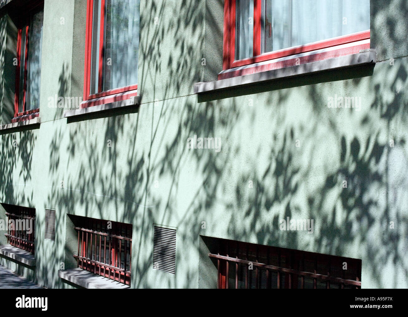 Apartment building with shadows of vegetation on facade, close-up Stock ...