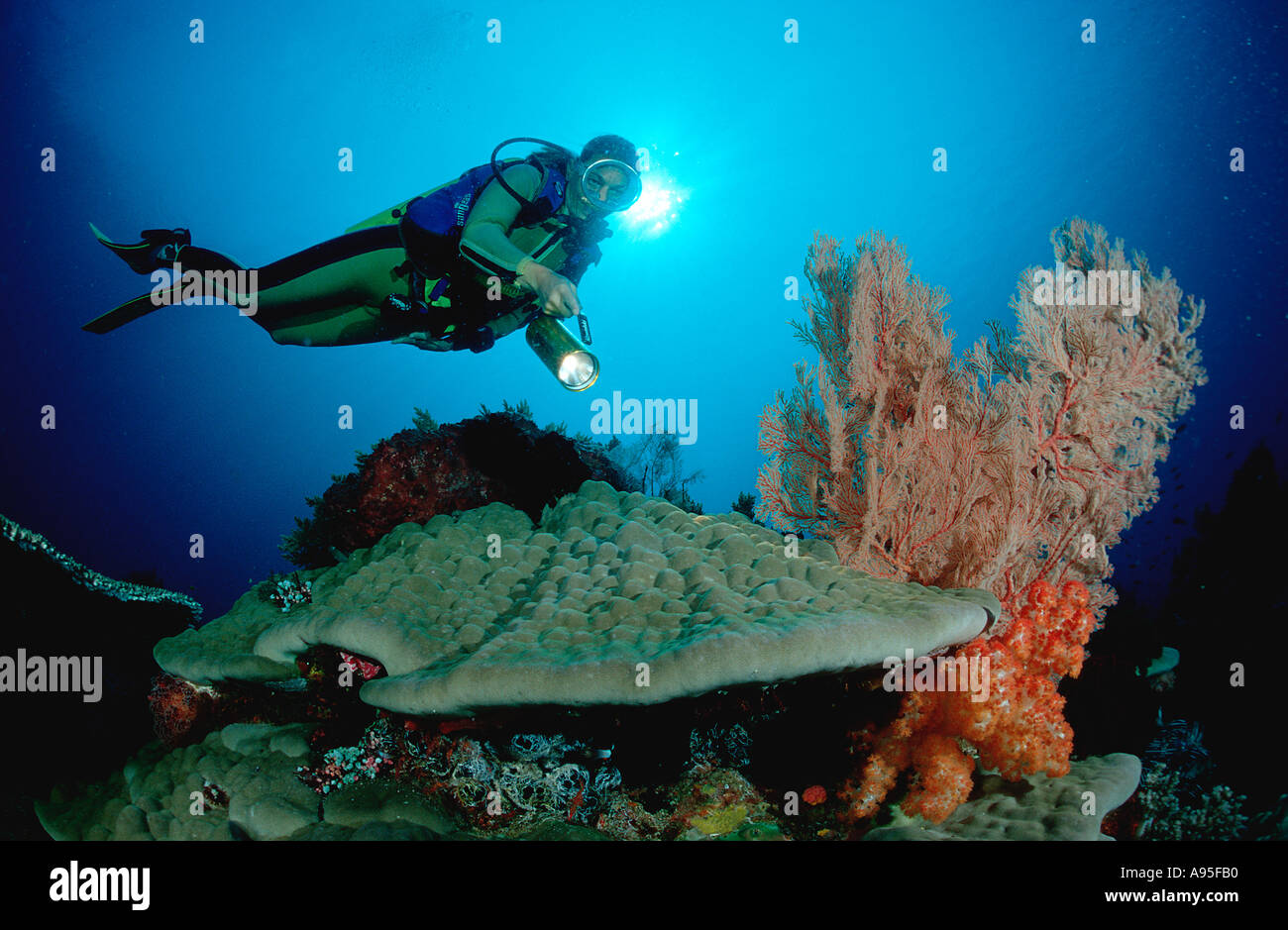 Suba diver hi-res stock photography and images - Alamy