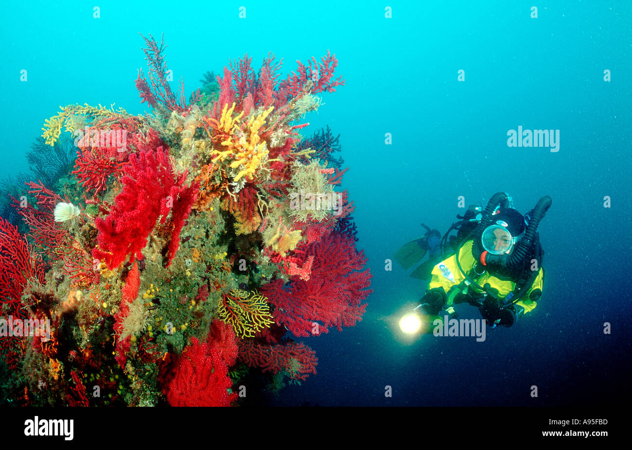 Suba diver hi-res stock photography and images - Alamy